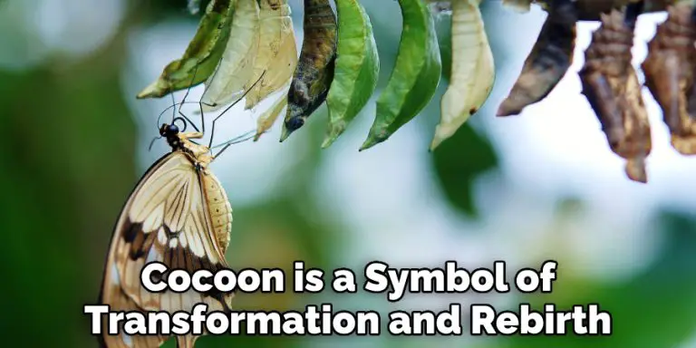 Cocoon Spiritual Meaning, Symbolism and Totem | Detailed Guide
