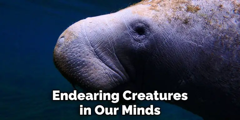 Dugong Spiritual Meaning, Symbolism and Totem | Explained (2025)