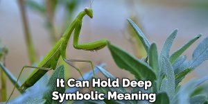 Praying Mantis Spiritual Meaning, Symbolism and Totem (2026)