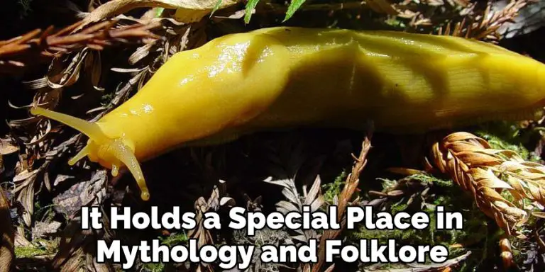 Banana Slug Spiritual Meaning, Symbolism and Totem (2025)