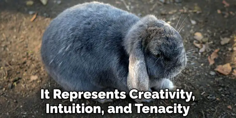 Fawn Spiritual Meaning, Symbolism and Totem | Explained (2026)