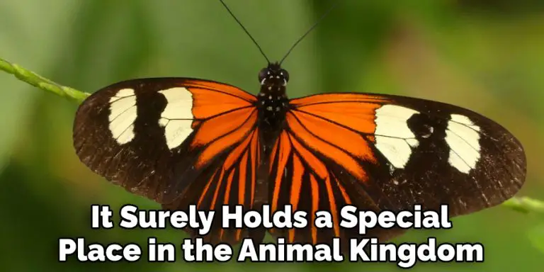 Postman Spiritual Meaning, Symbolism and Totem | Detailed Guide