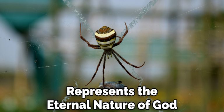 Orb Weaver Spider Spiritual Meaning, Symbolism and Totem (2025)