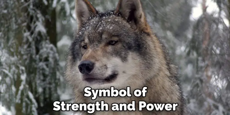 Wolves Spiritual Meaning, Symbolism and Totem | Detailed Guide