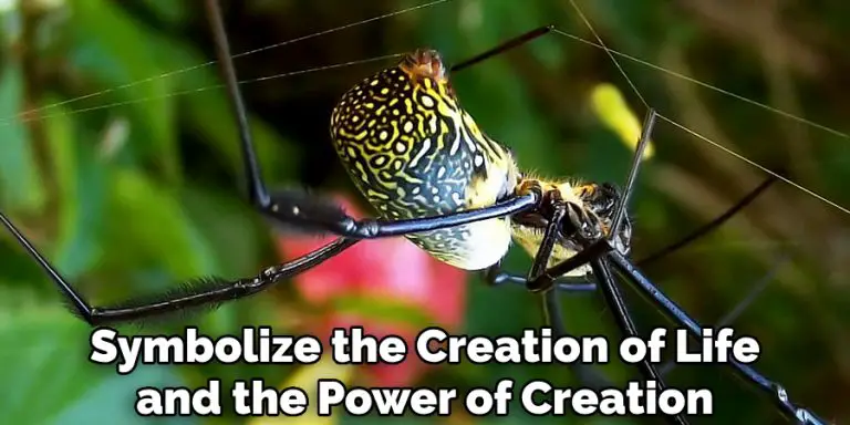 Orb Weaver Spider Spiritual Meaning, Symbolism and Totem (2026)