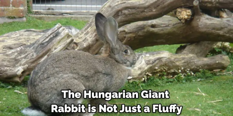 Hungarian Spiritual Meaning, Symbolism and Totem (2026)