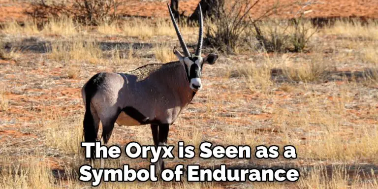 Oryx Spiritual Meaning, Symbolism and Totem | Explained (2025)