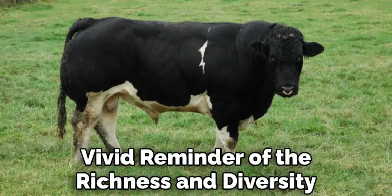 Bull Spiritual Meaning, Symbolism and Totem | Explained (2025)