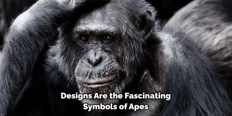Ape Spiritual Meaning, Symbolism and Totem | Explained (2025)