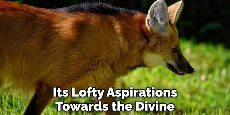 Maned Wolf Spiritual Meaning, Symbolism and Totem (2025)