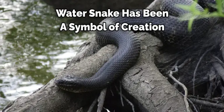 Water Snake Spiritual Meaning, Symbolism and Totem (2025)
