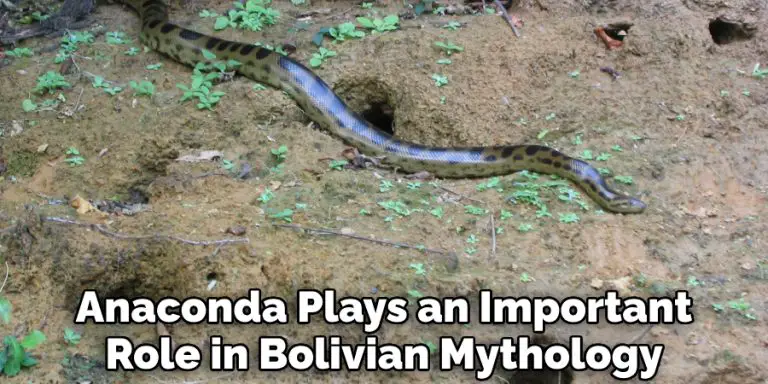 Bolivian Anaconda Spiritual Meaning, Symbolism and Totem (2026)