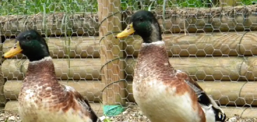 Appleyard Spiritual Meaning, Symbolism and Totem (2026)