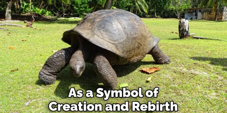 Aldabra Giant Tortoise Spiritual Meaning, Symbolism and Totem