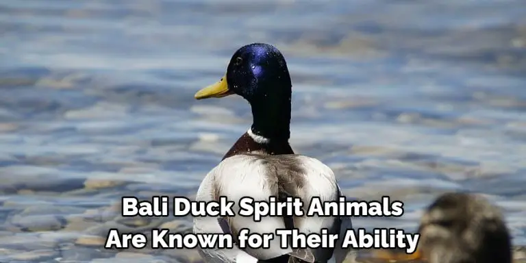 Bali Duck Spiritual Meaning, Symbolism and Totem (2025)