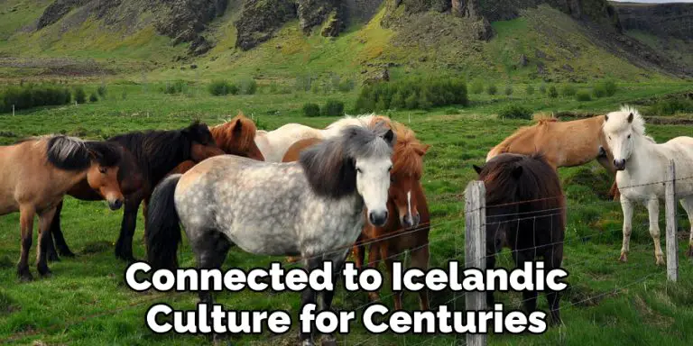 Icelandic Spiritual Meaning, Symbolism and Totem (2026)