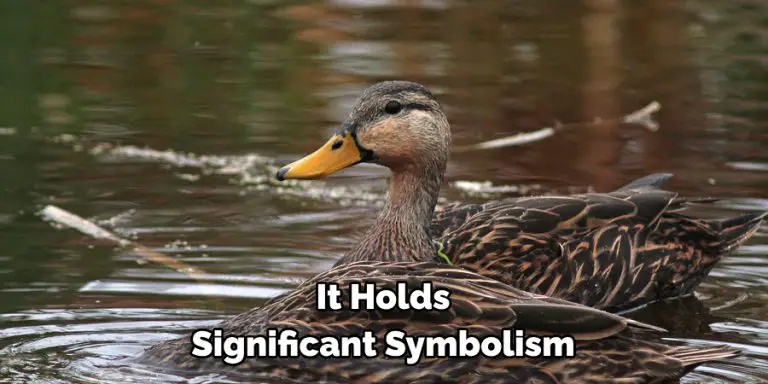 Mottled Spiritual Meaning, Symbolism and Totem | Detailed Guide