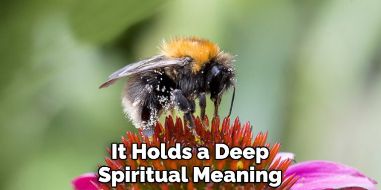 Bumblebee Spiritual Meaning, Symbolism and Totem (2025)