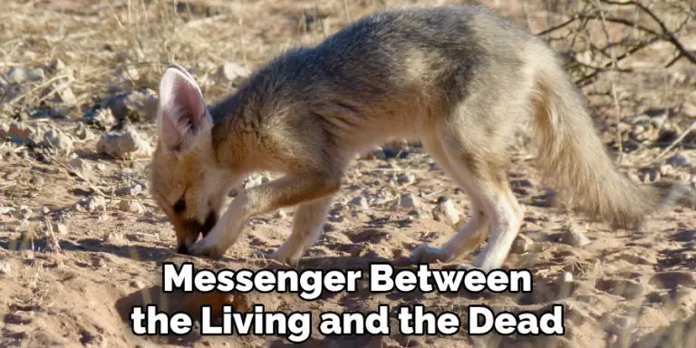 Cape Spiritual Meaning, Symbolism and Totem | Explained (2025)