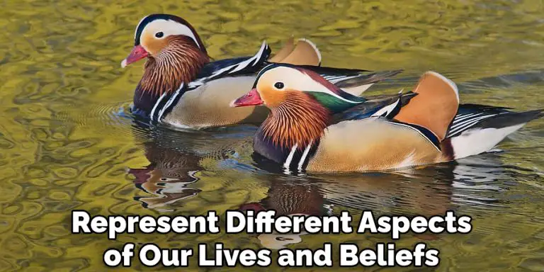 Mandarin Duck Spiritual Meaning, Symbolism and Totem (2026)