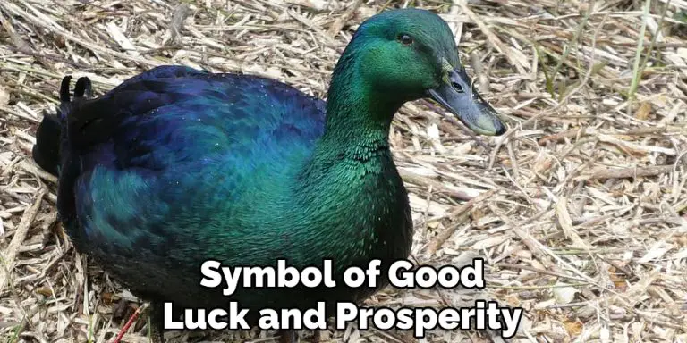 Cayuga Spiritual Meaning, Symbolism and Totem | Detailed Guide