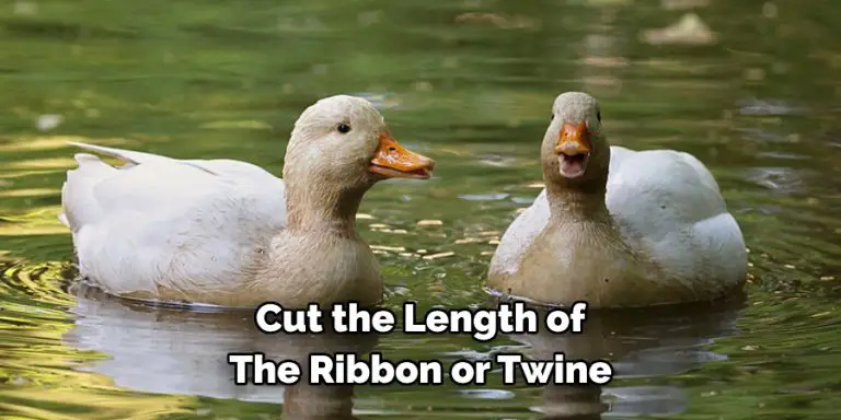 Call Duck Spiritual Meaning, Symbolism and Totem (2023)