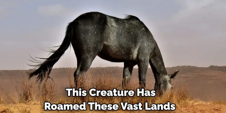 Mustang Spiritual Meaning, Symbolism and Totem | Detailed Guide