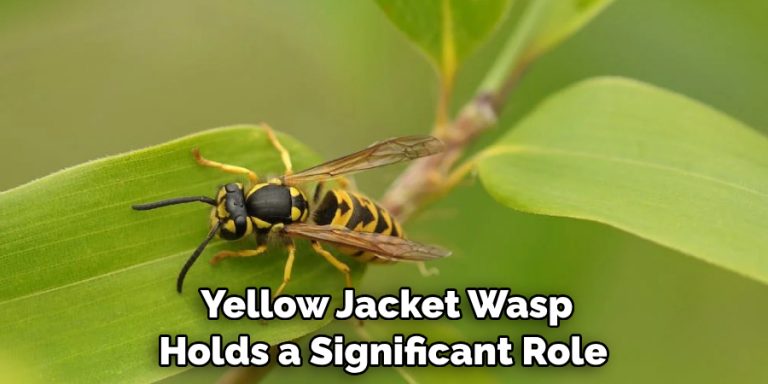 Yellow Jacket Spiritual Meaning, Symbolism and Totem (2026)