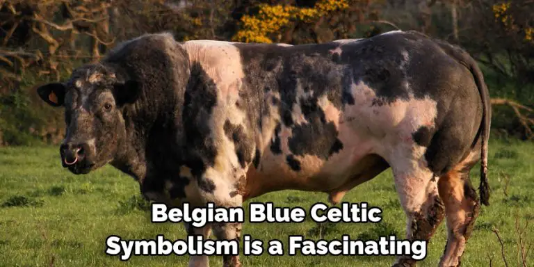 Belgian Blue Spiritual Meaning, Symbolism and Totem (2025)