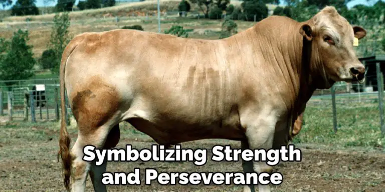Tuli Cattle Spiritual Meaning, Symbolism and Totem (2026)
