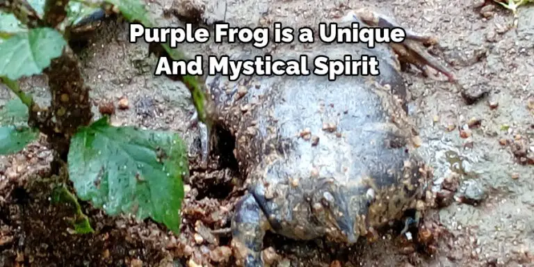 Purple Frog Spiritual Meaning, Symbolism and Totem (2026)