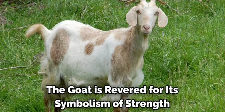 Domestic Goat Spiritual Meaning, Symbolism and Totem (2025)