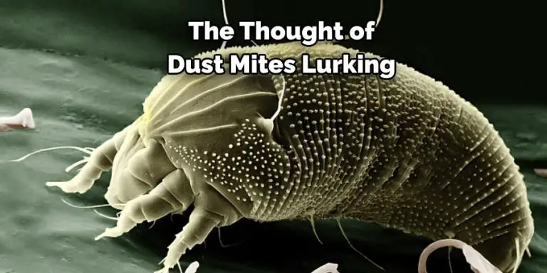 Dust Mite Spiritual Meaning, Symbolism and Totem (2026)