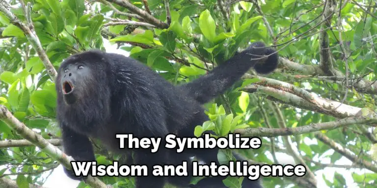 Howler Spiritual Meaning, Symbolism and Totem | Explained (2025)