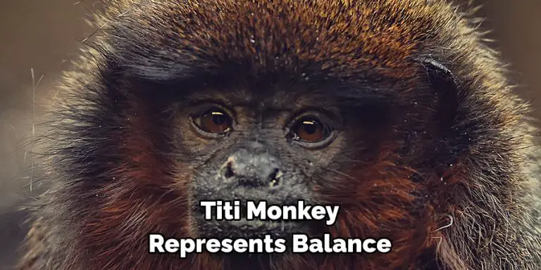 Titi Spiritual Meaning, Symbolism and Totem | Explained (2026)