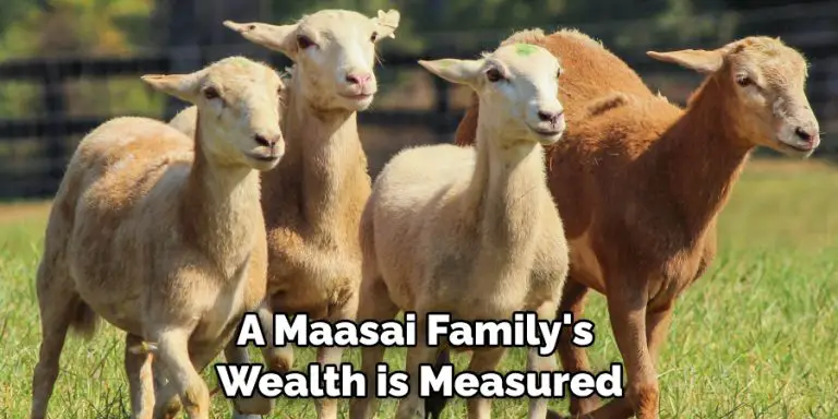 Red Maasai Spiritual Meaning, Symbolism and Totem (2026)
