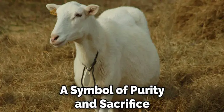 St Croix Spiritual Meaning, Symbolism and Totem | Detailed Guide