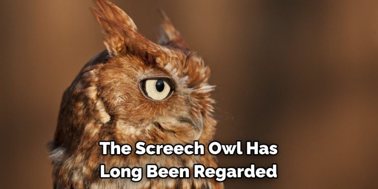 Screech Owl Spiritual Meaning, Symbolism and Totem (2025)