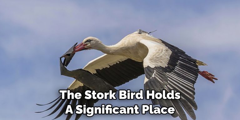 Stork Spiritual Meaning, Symbolism and Totem | Explained (2025)