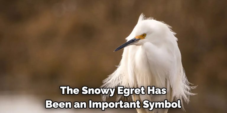 Snowy Egret Spiritual Meaning, Symbolism and Totem (2026)