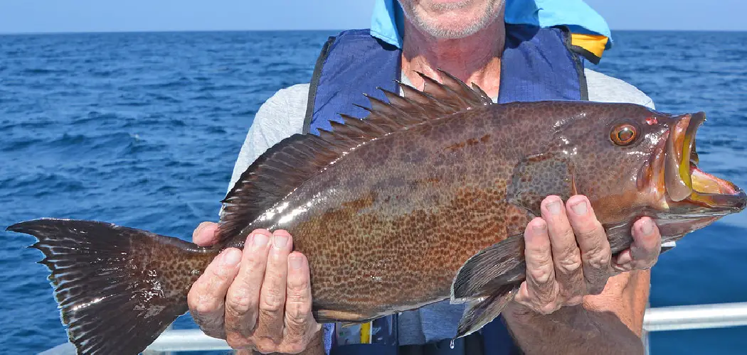 Scamp Spiritual Meaning, Symbolism and Totem | Explained (2025)