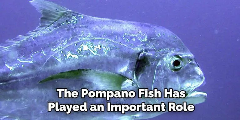 Pompano Spiritual Meaning, Symbolism and Totem | Explained