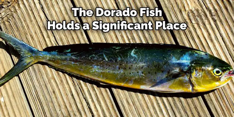 Dorado Spiritual Meaning, Symbolism and Totem Explained (2025)