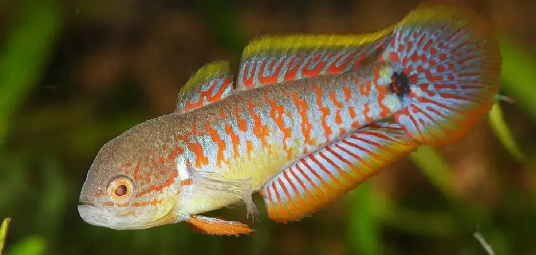 Gudgeon Spiritual Meaning, Symbolism and Totem Explained (2026)