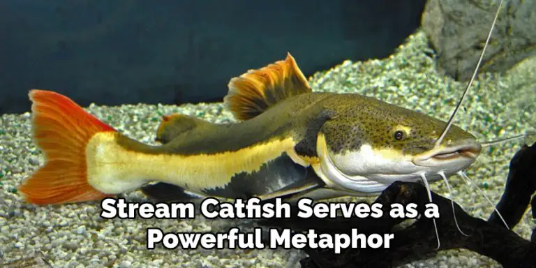 Stream Catfish Spiritual Meaning, Symbolism and Totem (2026)