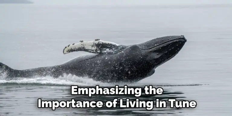 Humpback Whale Spiritual Meaning, Symbolism and Totem (2026)