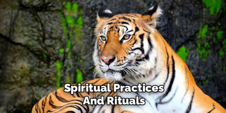 China Tiger Spiritual Meaning, Symbolism and Totem | Easy Guide