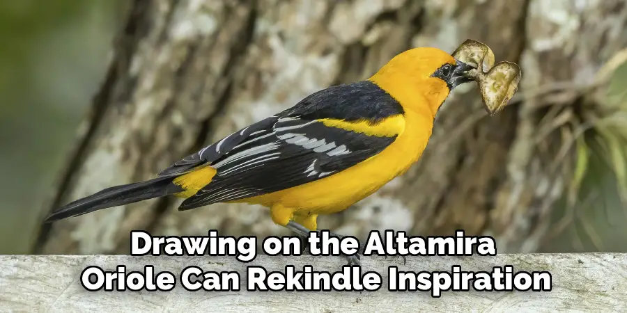 Altamira Oriole Meaning, Symbolism and Totem | (2026)